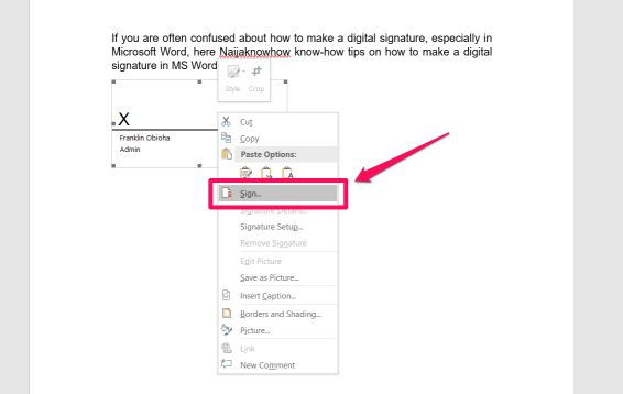 How to Create a Digital Signature (MS Word/PC/Mobile) ⋆ Naijaknowhow