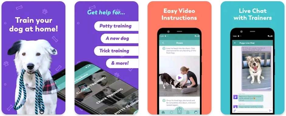 Best Dog Training Apps for Android & iOS in 2024 ⋆ Naijaknowhow