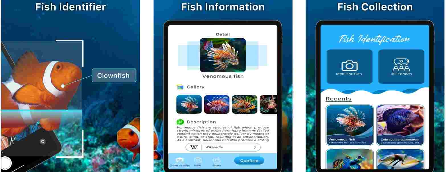 Best Fish Identification Apps for Android and iOS in 2024